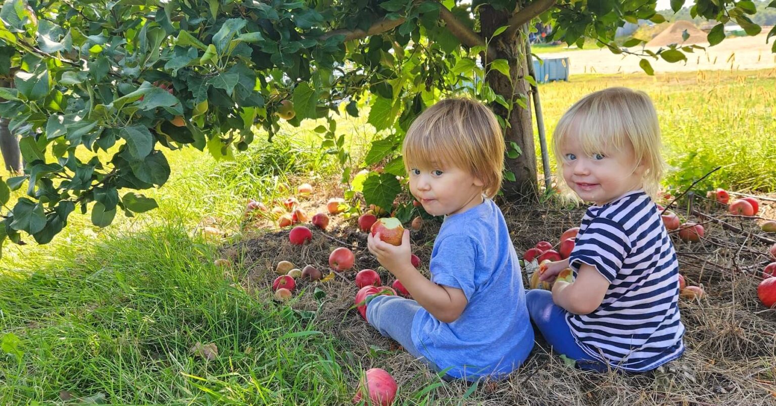 La Crosse Area Guide to Apple Orchards | La Crosse Local