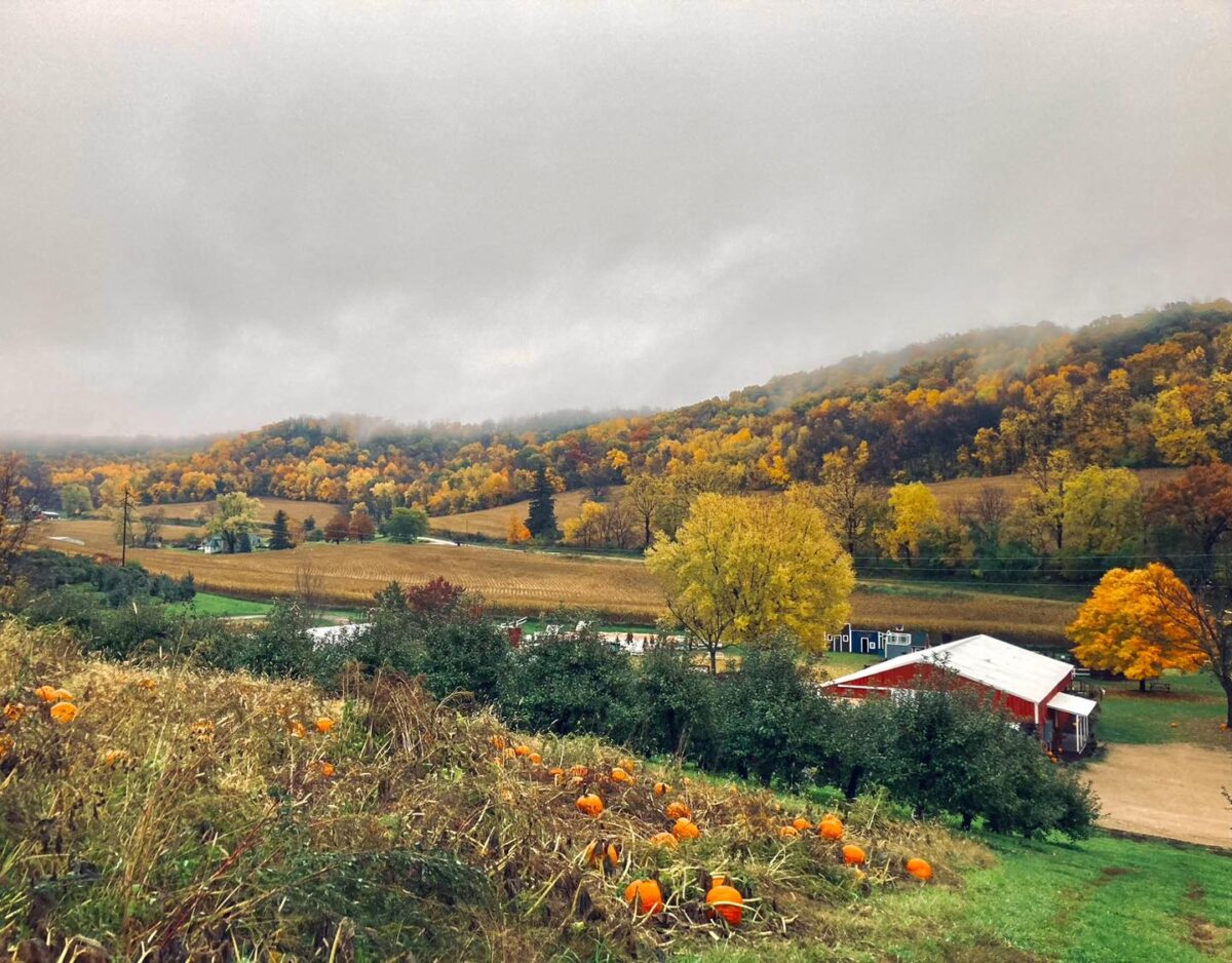 La Crosse Area Guide to Pumpkin Patches | La Crosse Local