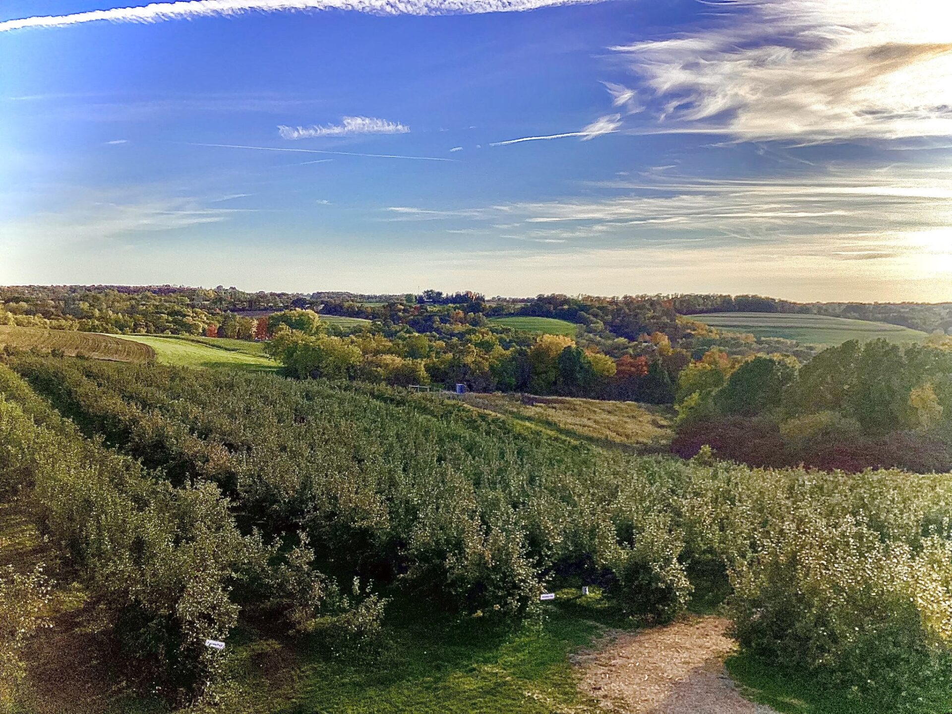 La Crosse Area Guide to Apple Orchards | La Crosse Local