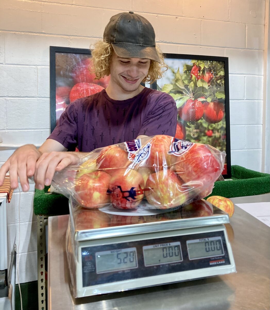 La Crosse Area Guide to Apple Orchards | La Crosse Local