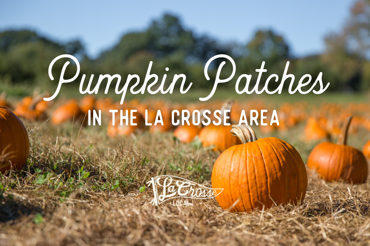 La Crosse Area Guide to Pumpkin Patches | La Crosse Local