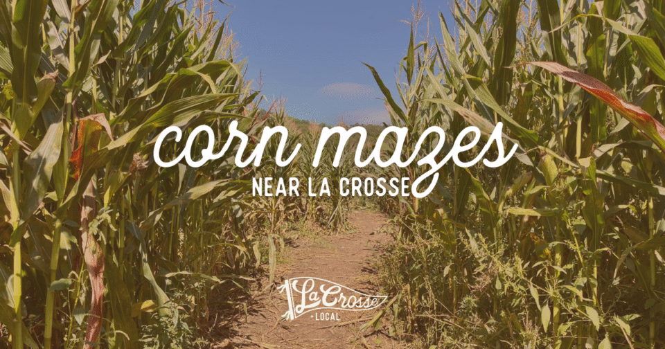 5 Corn Mazes to Explore Near La Crosse | La Crosse Local